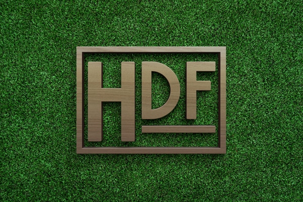 High Desert Flower - Portfolio Project - Scott Wolfman